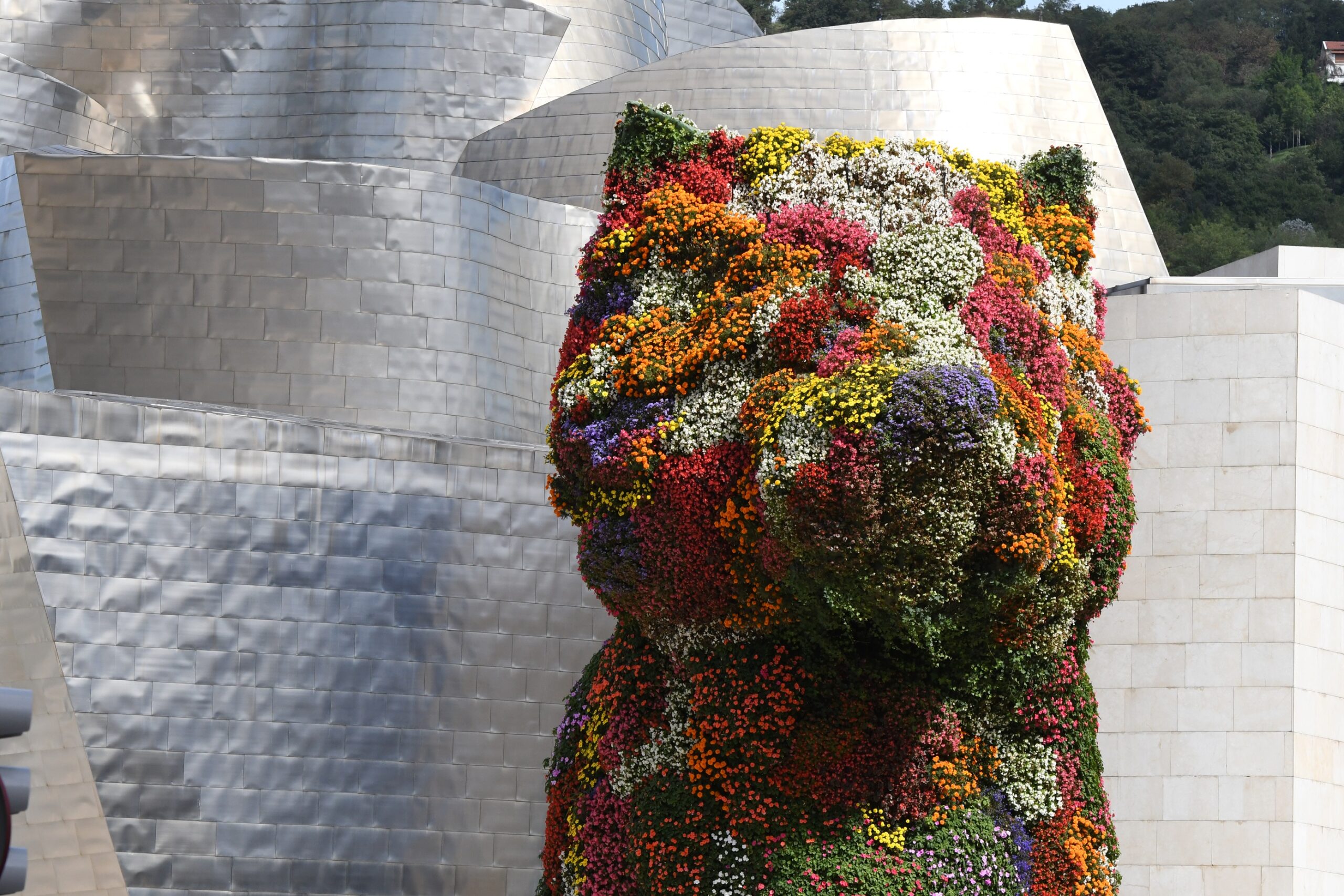 Bilbao, un imán para el turismo internacional | Radio Nervión