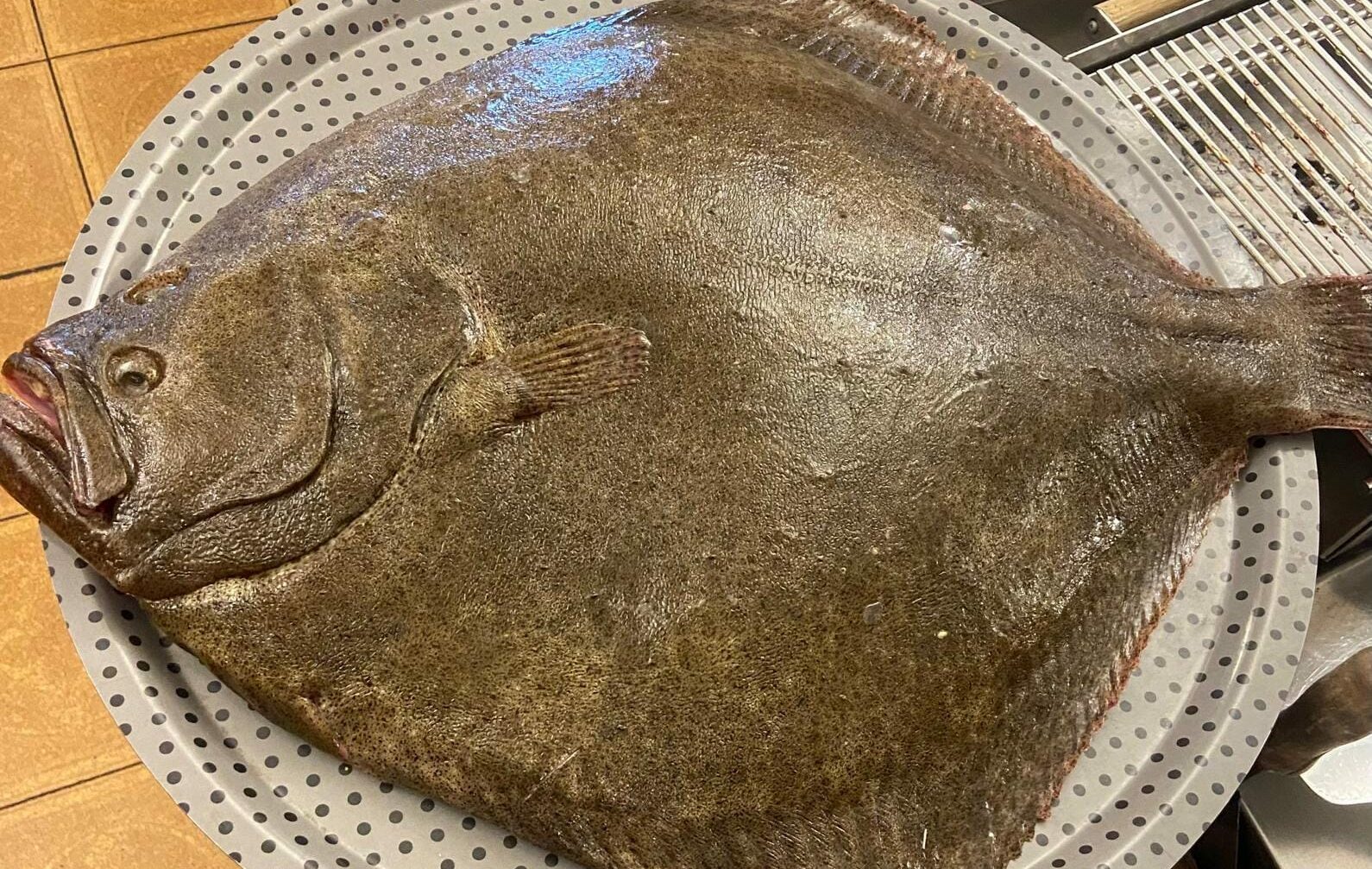 Un rodaballo de casi 8 kilos, sorprende en Bermeo | Radio Nervión