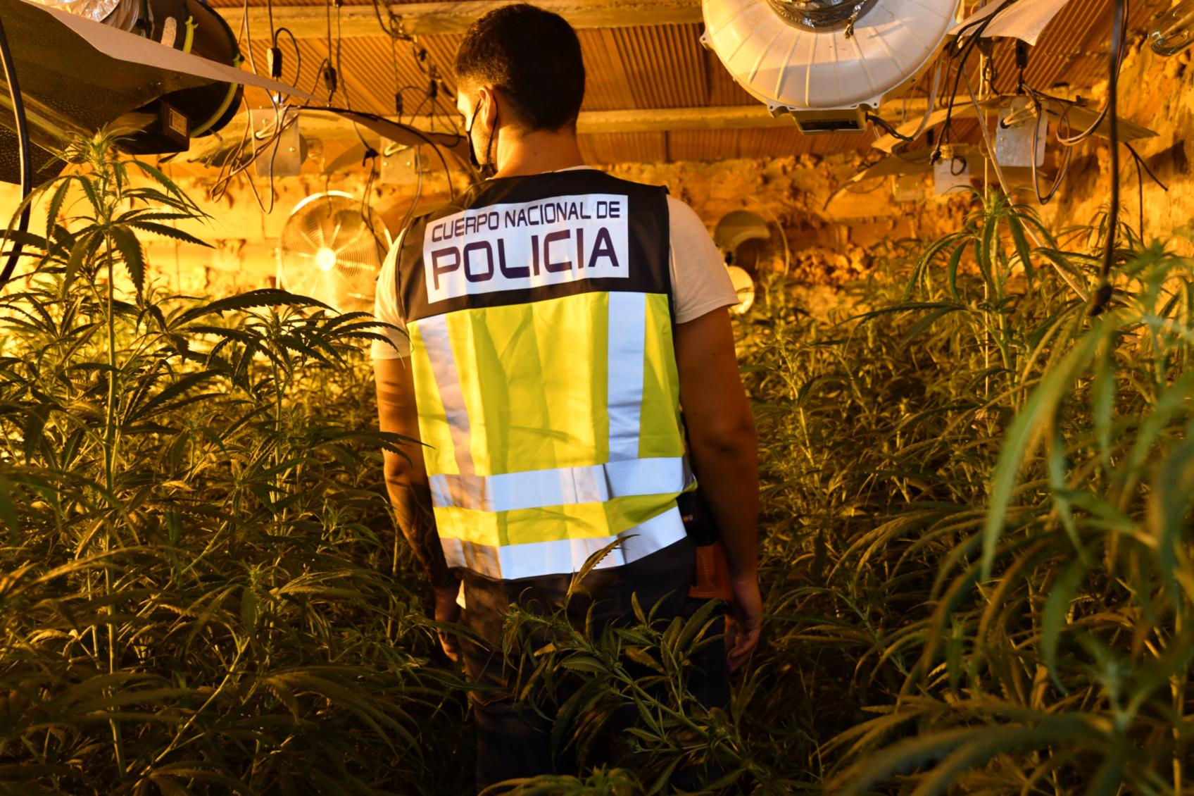Desmantelan una plantación de marihuana en un chalé de lujo en Castro | Radio Nervión