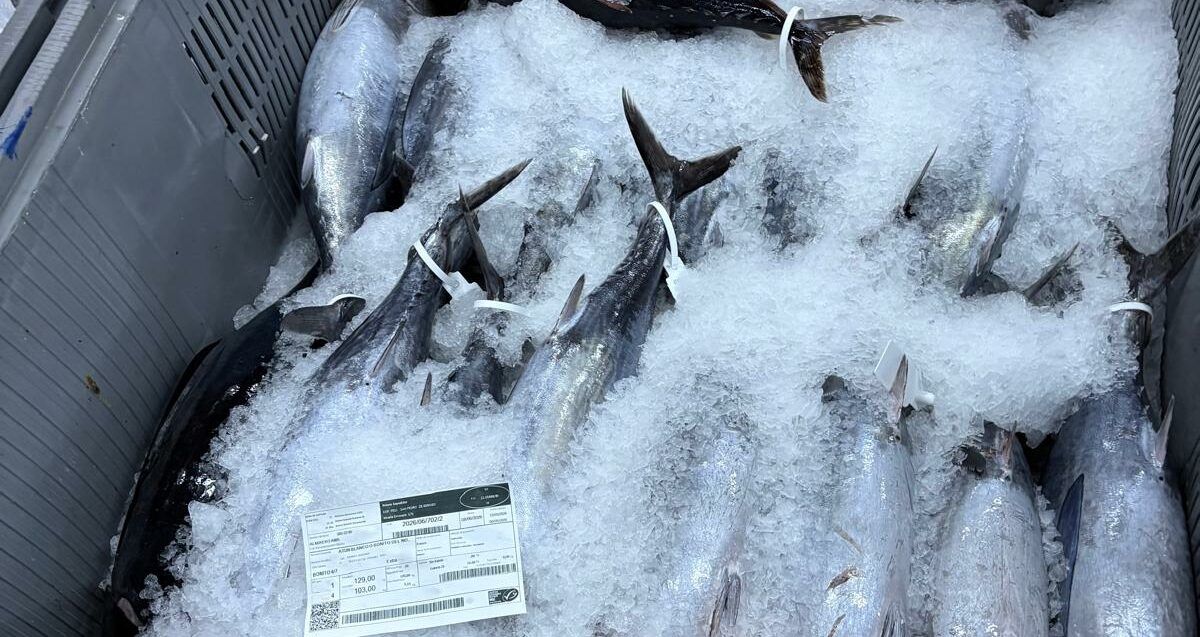 Llega a Bermeo el primer bonito de la temporada: el Almikeko Ama ...